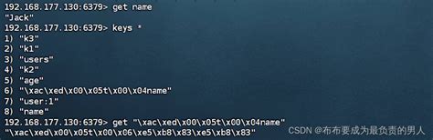 Redis：原理速成项目实战——redis的java客户端redis Java 开发实战 Csdn博客