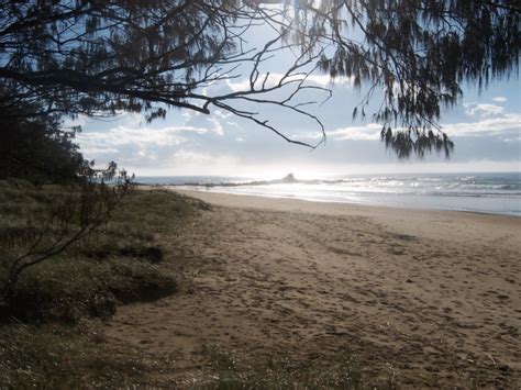 The Witches Hat Photo Kim Satchell Download Scientific Diagram