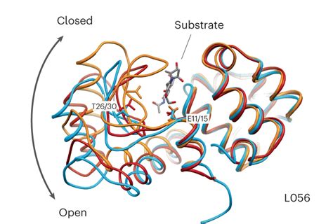 Ai Technology Designs Novel Functional Enzyme Biosciences Area