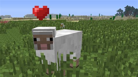 [100 ] Minecraft Sheep Wallpapers