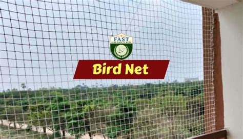 A Step By Step Guide To Bird Net Fixing Fast Safety Nets Hyderabad