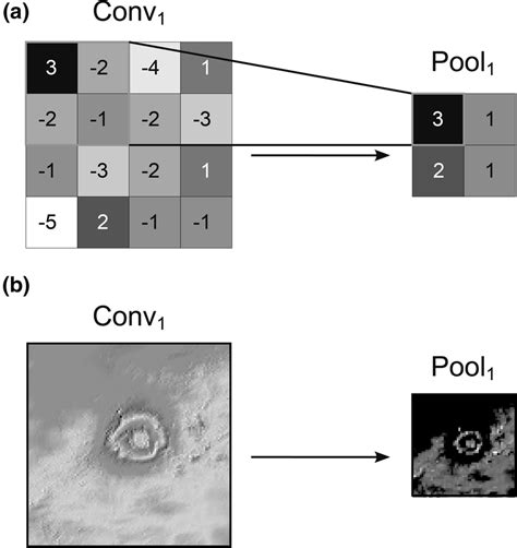 pooling layers in cnns a schematic diagram for how pooling layers