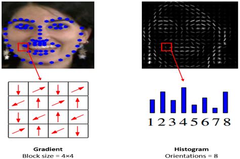 Human Emotion Recognition Based On Spatio Temporal Facial Features Using Hog Hof And Vgg Lstm