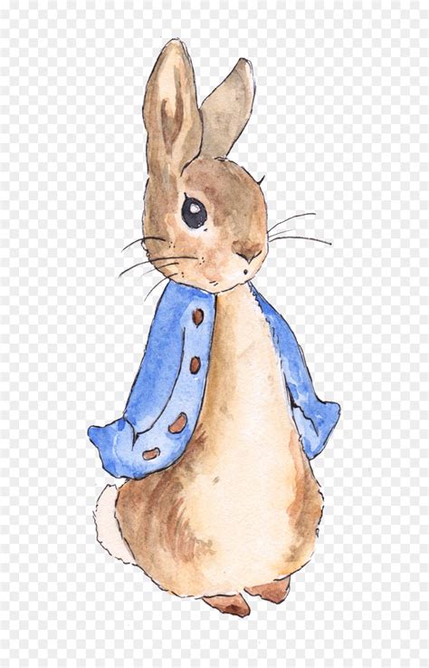 Peter Rabbit Drawing At GetDrawings Free Download