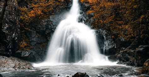 가을 가을 기분 가을 낙엽 가을 배경 가을 벽지 가을 분위기 숲 가을 색 가을 숲 가을 시즌 가을 잎 색 가을 장면 가을 장식 가을 크 로커 스