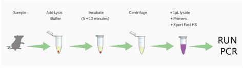 Xpert Directxtract Pcr Kit Grisp