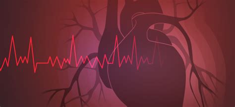 stress and hrv what s the connection welltory app