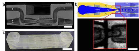 lateral cut view on a 3d rendering of the parallelized device with one