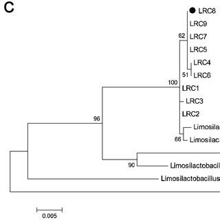 The biological characteristics of LRC8 isolate. A The growth curve of ...