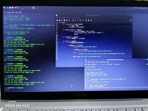 Amir Ansari On Linkedin Cybersecurity Project Shoebudgettool Kali