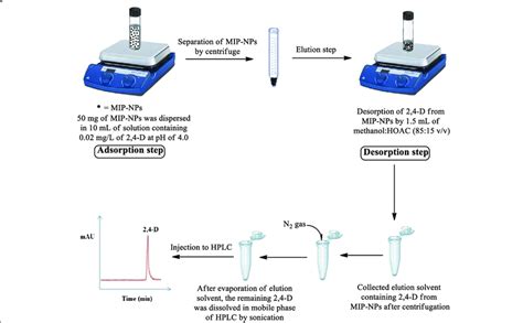 A Schematic Illustration Of Extraction Procedure Download Scientific Diagram
