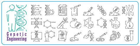Genetic Engineering Vector Line Icon Set Genetics Lab Research