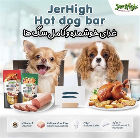 پت شاپ کیتی کت پت شاپ کیتی کت