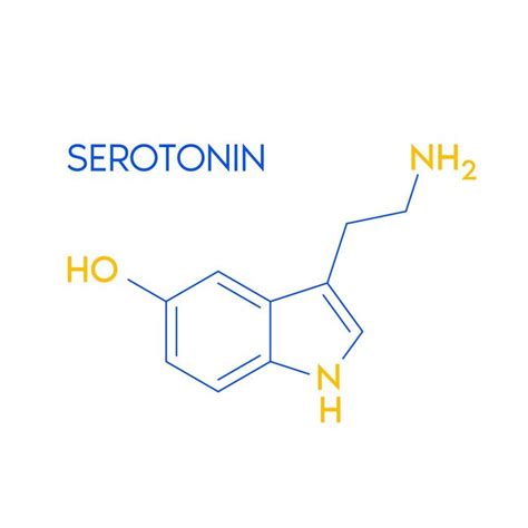 Serotonin Vector Art Icons And Graphics For Free Download