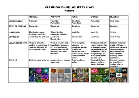 Cuadro Comparativo De Los Seres Vivos Roceso
