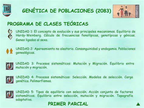 Ppt GenÉtica De Poblaciones 2083 Powerpoint Presentation Free