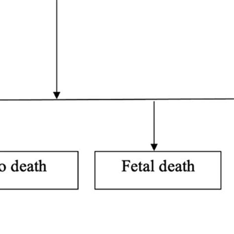 Classification Of Genetic Load In Dairy Cattle And Forms Of Its