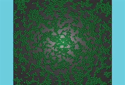 Particle Pack Obtained With Rpart Max 20 And Rpart Min 10 D R 05