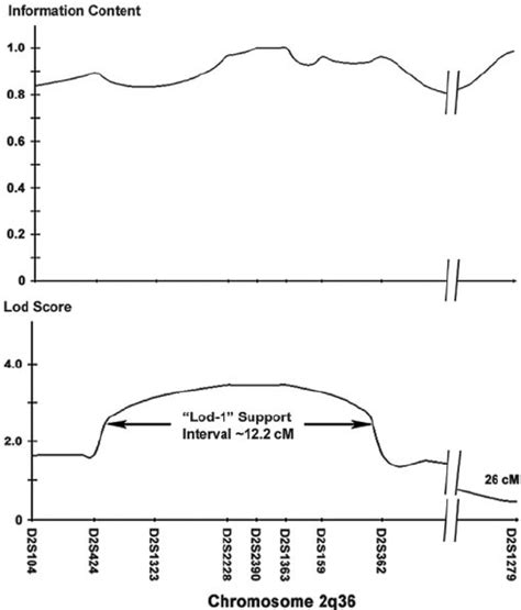 Affected Only” Multipoint Parametric Linkage Plot Of Chromosome 2 From Download Scientific