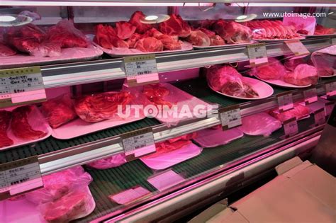한국의 정육점 Yanggiri 사진 한국 정육점 각종 고기 부위 판매 진열 시장 마켓 냉장 식재료 돼지고기 소고기 쇠고기 생활 배경 사진