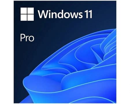 MICROSOFT Windows Pro 11 FPP 64 Bit HAV 00164 EXCEED D O O