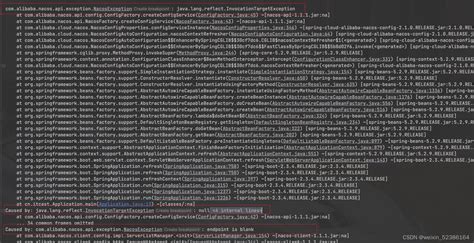 com alibaba nacos api exception nacosexception java lang reflect