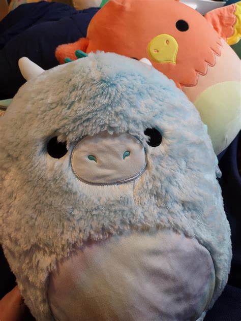 We Get One T Christmas Eve I Chose Lorelai R Squishmallow