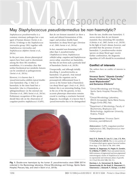 Pdf May Staphylococcus Pseudintermedius Be Nonhemolytic