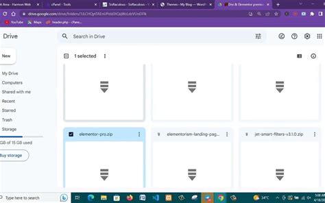 Elementor Pro Installation Kerbco Web Services
