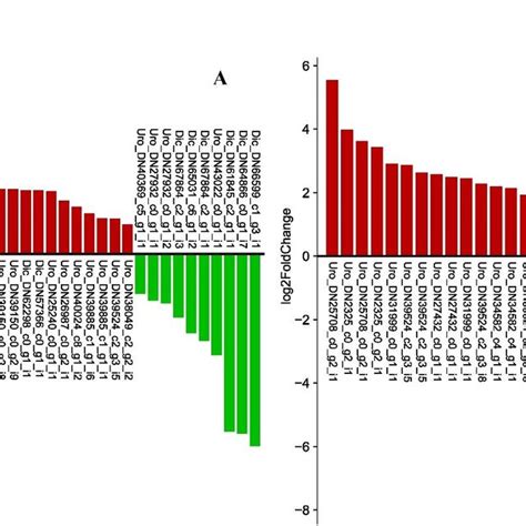 A Comparative Analysis Of Gene Expression Between Rna Seq Data And Qpcr