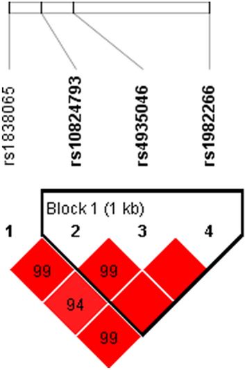 Linkage Disequilibrium Ld Block Defined By The Haploview 42