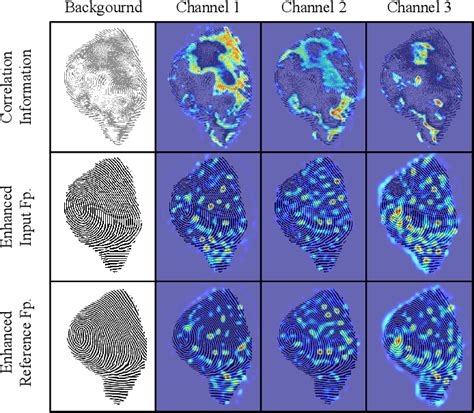Figure 6 From Phase Aggregated Dual Branch Network For Efficient Fingerprint Dense Registration