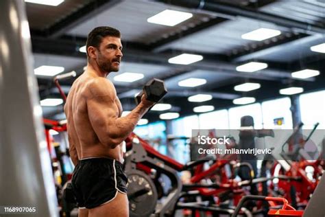 체육관 운동 무게 훈련 보디 빌딩 무게와 훈련을 가진 근육 남자 보디 빌딩에 대한 스톡 사진 및 기타 이미지 보디 빌딩 암컬 건강한 생활방식 Istock