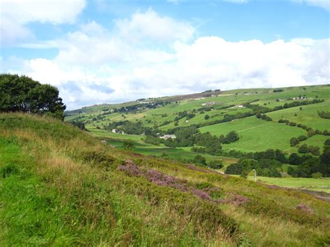 Hills – Urban Giraffe