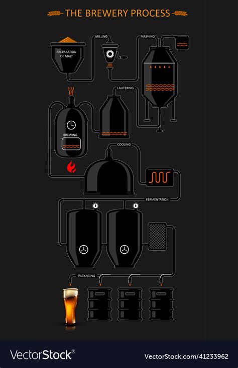 Diagram Of The Process Brewing Beer Detailed Vector Image