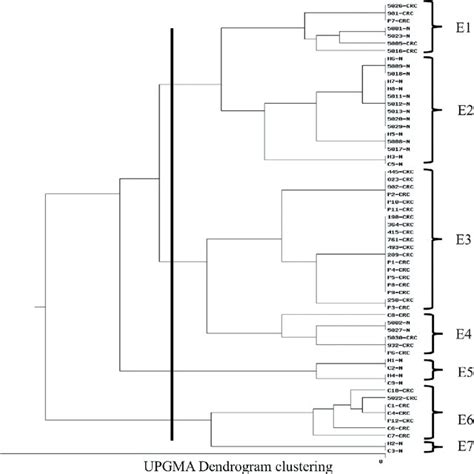 Dendrogram Showing The Phylogenetic Grouping Of The 40 E Coli Strains