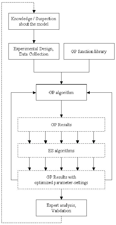 Extended Genetic Programming Process In Cluding A Second Optimization Download Scientific