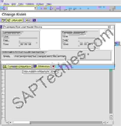 Pfcg Sap Roles And Authorizations Maintenance