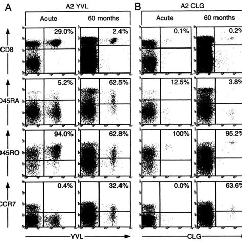 Analysis Of Ebv Epitope Specific Cd8 T Cells For Cd45ra Cd45ro And Download Scientific