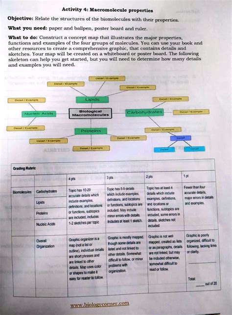 solved construct a concept map that illustrates the major properties