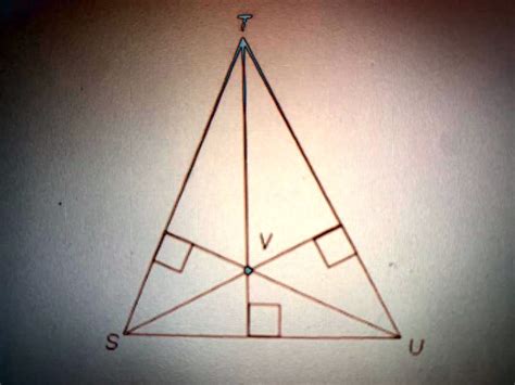 The Diagram Shows Astu Which Term Describes Point V A Circumcenter B Orthocenter C Incenter D