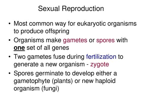 Cell Division Part Ppt Download