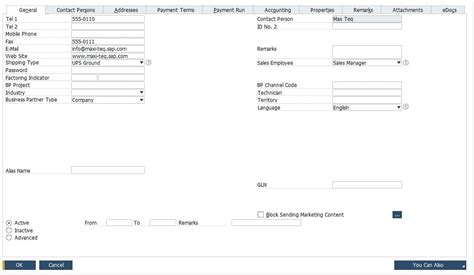 SAP Business One In Depth Review Business Partner Master Data FireBear