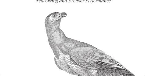 Book Summary 02 High Performance Browser Networking Part3 ~ Ahmed Abouzaid