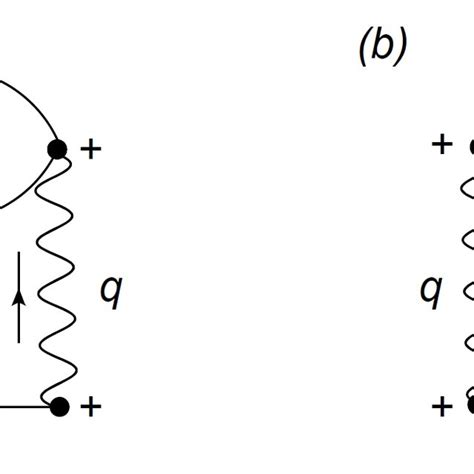 Feynman Diagrams For Σ X P [figure A And C ] And Σ