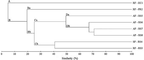 dendrogram of floristic similarity between eight ferns and lycophytes
