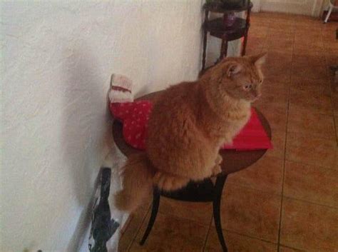 Michael Orozco Fletcher On Linkedin Python Lesson 42 Intro To