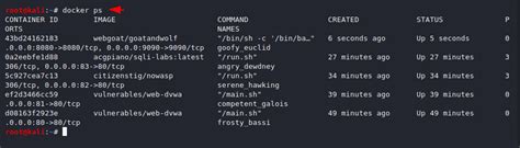 Web Application Pentest Lab Setup On Docker Sec N Hack