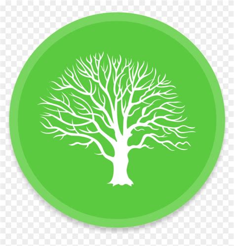 Detail Tree Png Icon Koleksi Nomer 33