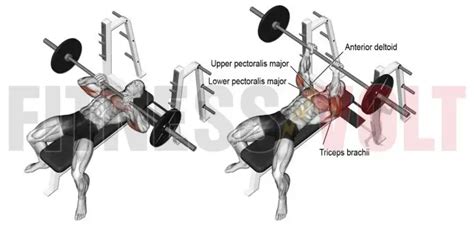 Tricep Cable Pushdown Alternative